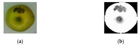 Applied Sciences Free Full Text Apple Surface Defect Detection Based On Gray Level Co