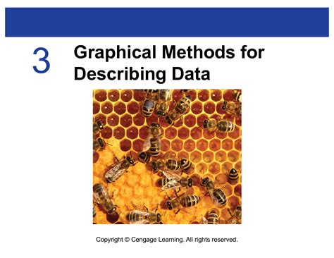 Solution Brooklyn College Busn 3400 Graphical Methods For Describing