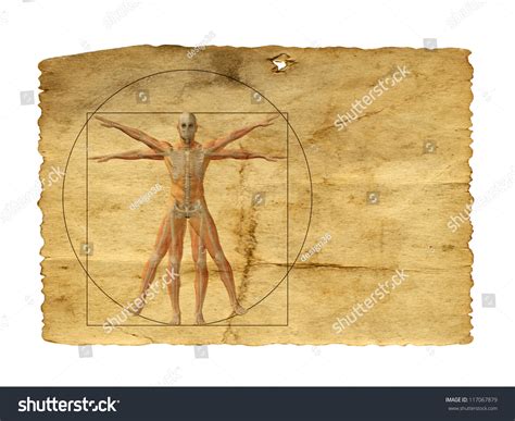 Concept Conceptual Vitruvian Human Body Drawing Stock Illustration