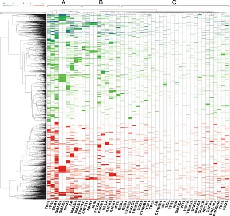 Transcription Factor Target Gene Topological Analysis Hierarchical