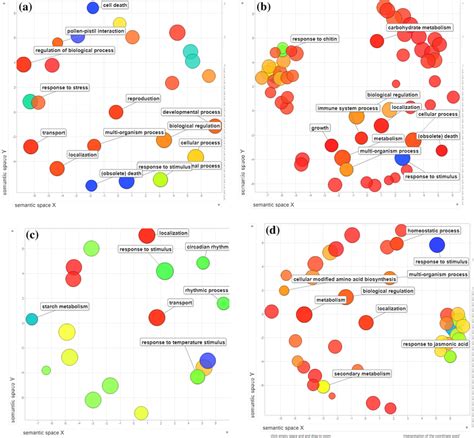 Statistically Significant Gene Ontology Biological Process Terms