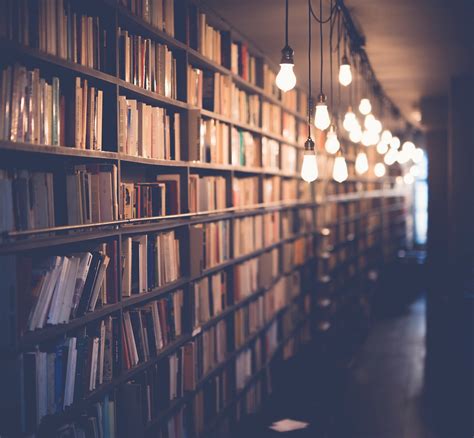 10 000 free sex education and education images pixabay
