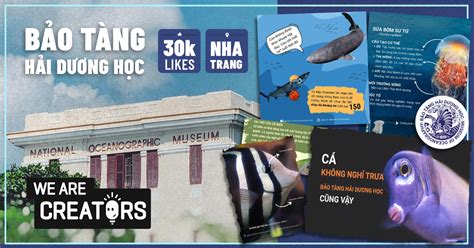 Khi Các Nhà Khoa Học U40 Làm Creator Ngày Bảo Vệ Sinh Vật Biển Tối