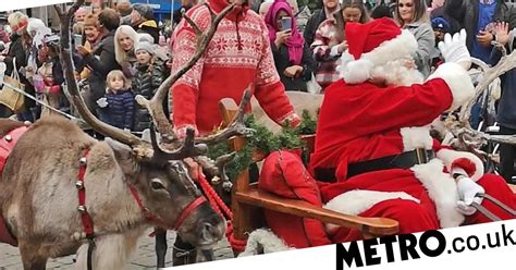 Reindeers Are Being Exploited In The Name Of Christmas Fun News Uk