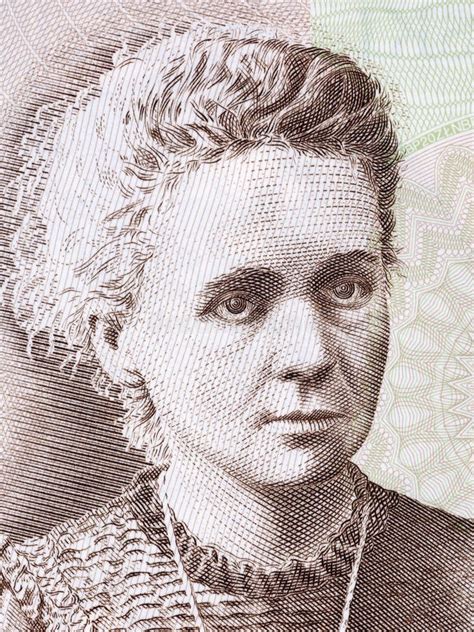 Retrato De Marie Sklodowska Curie Foto De Stock Imagem De Zloti