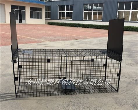 景隆捕捉笼能抓狗吗？