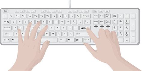 Vector Illustration Of Hands Typing On A Keyboard Isolated On White Background Vector Keyboard