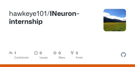 github hawkeye101 ineuron internship