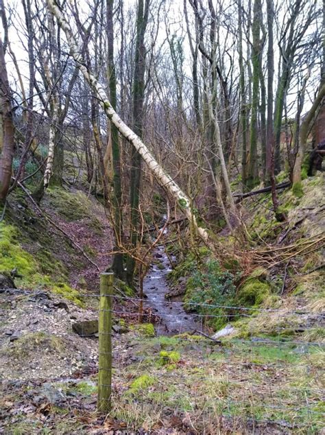 Preston Patrick Bentham Footpath Group