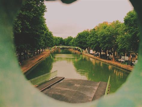 Premium Photo Pond In Park