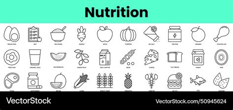 Set Of Nutrition Icons Linear Style Icon Bundle Vector Image