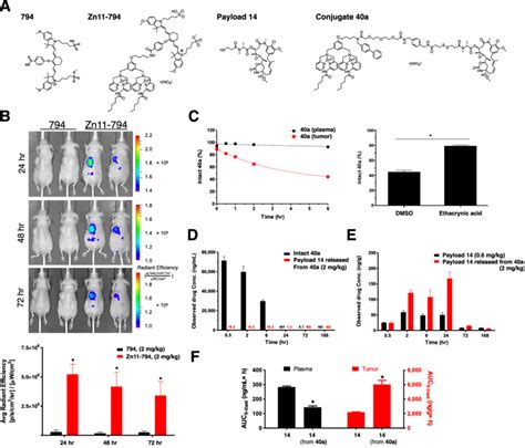 In Vivo Targeting Ability Plasma Stability And In Vivo Download