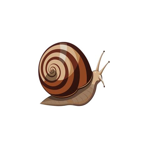 Minimal Snail Shell Design On White Background 65310596 Vector Art At