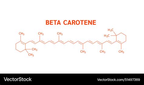 Molecular Structure Beta Carotene Orange Vector Image