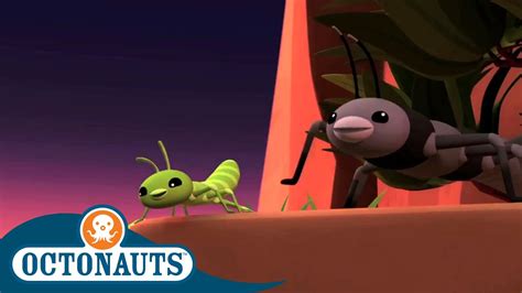 Octonauts Tree Lobsters