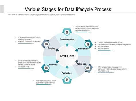 Various Stages For Data Lifecycle Process PowerPoint Presentation Sample Example Of PPT