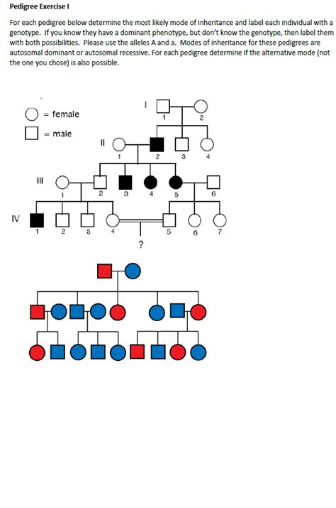 Solved Pedigree Exercise For Each Pedigree Below Determine Chegg