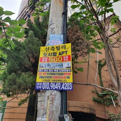 배포작업 전단지배포 전단지제작