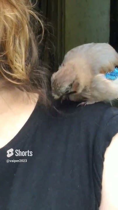 Не виноватая Я Он сам пришел Youtube