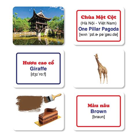 Cách Học Từ Vựng Bằng Thẻ Flashcard Tiếng Anh Cho Bé Theo Chủ đề
