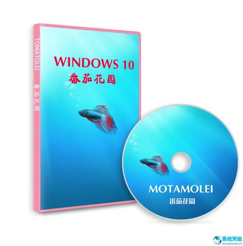 Win10系统之家官网windows10纯净版 64位微软win10专业版win10系统下载官网