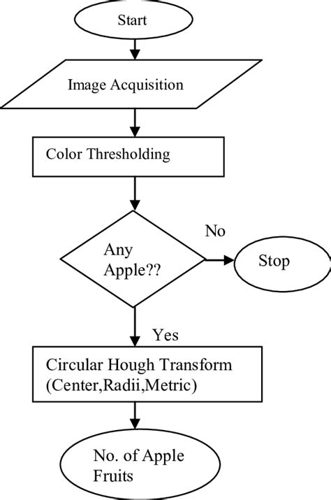 detection and counting process of apple fruit download scientific diagram