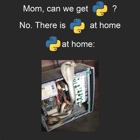 python installed successfully r programmerhumor