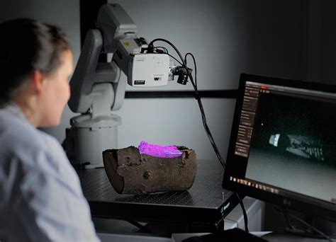 Terahertz Imaging Technique Reveals Subsurface Insect Damage In Wood