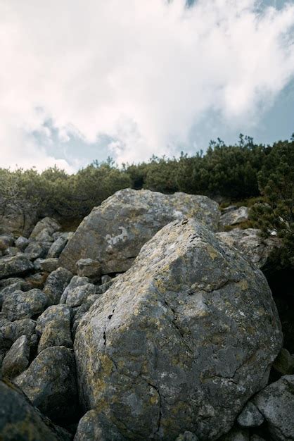 Una Gran Roca En El Bosque Concepto De Naturaleza Virgen En Las