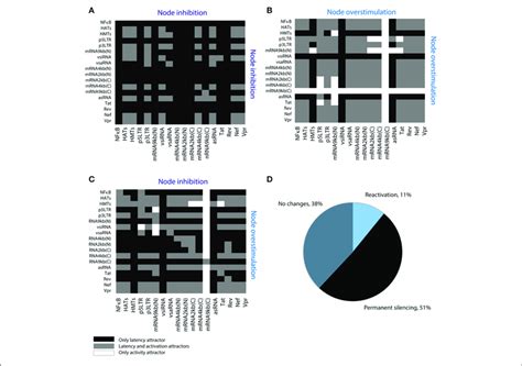 Screening Assay For Reactivating Perturbations A Simultaneous Download Scientific Diagram