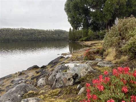 Best Wild Flowers Trails In Walls Of Jerusalem AllTrails