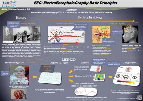 PDF EEG Principles