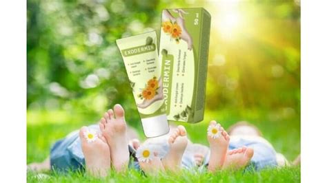 Exodermin Nagelpilz Rossmann Dm Stiftung Warentest Und Erfahrungen