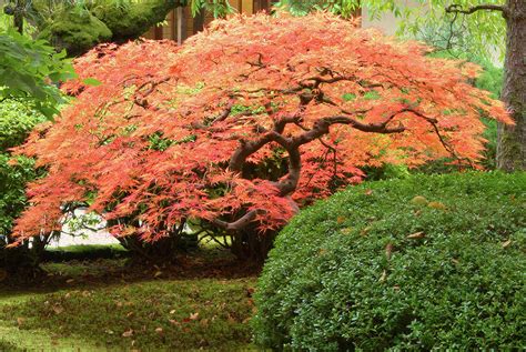 Suttle Signs Of Autumn Photograph By David Barker Fine Art America