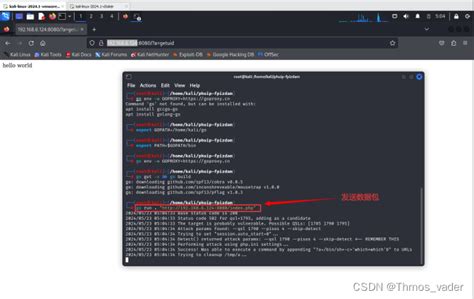 【漏洞复现】cve 2019 11043（php远程代码执行漏洞）信息安全论文含漏洞复现完整过程含linux环境go语言编译环境安装 Csdn博客