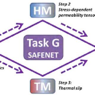 4 Task G Structure With Related Steps Download Scientific Diagram
