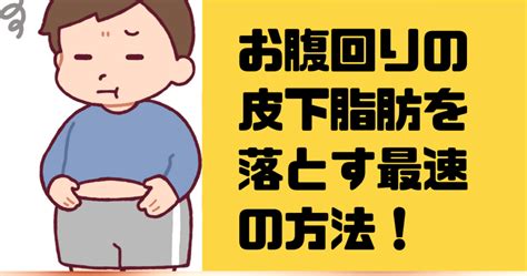 【決定版】腹回りの皮下脂肪を落とす最速の方法！男性必見！ Haruruのblog