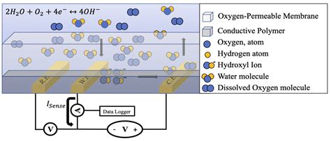 Dissolved Oxygen Molecule