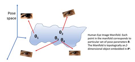 The Manifold Learning Hypothesis Download Scientific Diagram