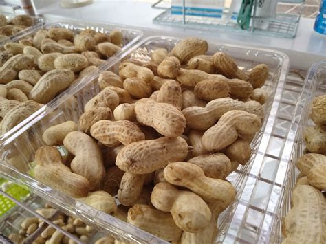 生落花生 花工房あや