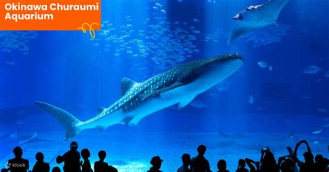 Klook Okinawa Multi Attractions Pass Bundle And Save Klook