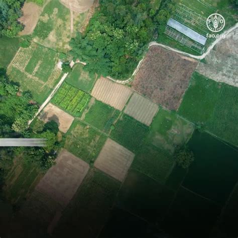 Francis Nankuyu On Linkedin Yazangini