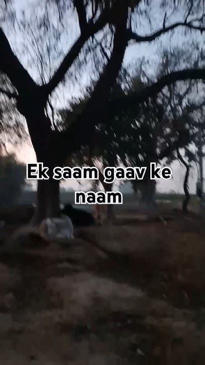Kya Aapko Bhi Gav Me Alg Sa Sukun Milta Hnature Viralvideo Music