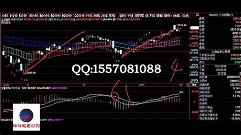 A股20230201盘后股票行情分析 徐小明股票培训 Youtube