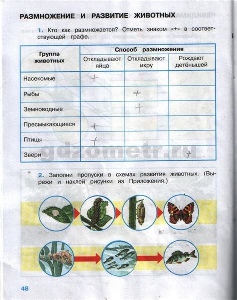 Гдз окружающий мир 3 класс автор плешаков рабочая тетрадь: ГДЗ ...
