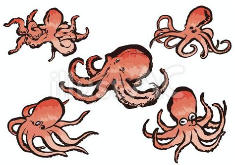 手描きたこイラスト No 1534786／無料イラストフリー素材なら「イラストac」