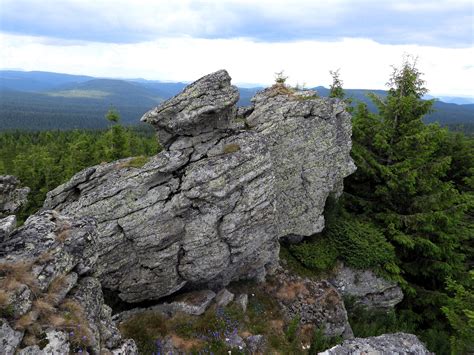 Басейнове управління водних ресурсів річки Тиса БУВР Тиси Гуманітарна допомога тим хто