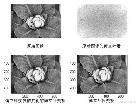 《dip数字图像处理》复习笔记 3频率域滤波（傅里叶变换ft、余弦变换ct、沃什变换和哈达玛变换、低通滤波、高通滤波）冈萨雷斯 沃尔什