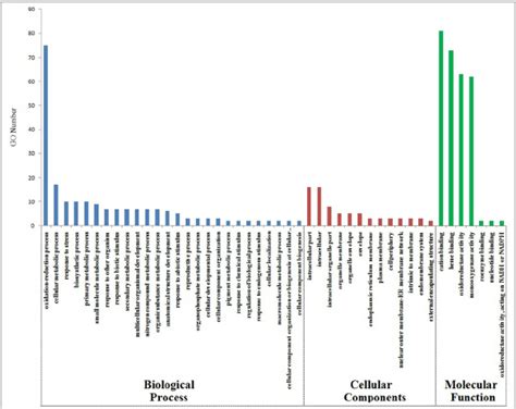 Blast2go Results For Coffea Arabica Cytochromes Cyps Results Are