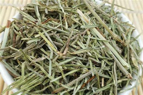 Wen Jing Wenjing Wen Jing Tang Wen Jing Pian For Sale Native